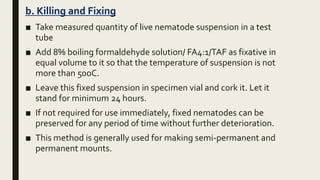 Preparation of nematode mounting | PPTX