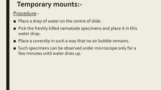 Preparation of nematode mounting | PPTX