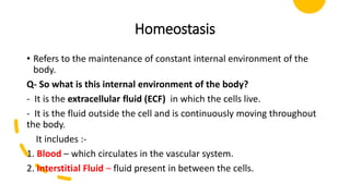 homeostasis.pptx