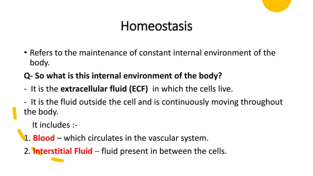 homeostasis.pptx