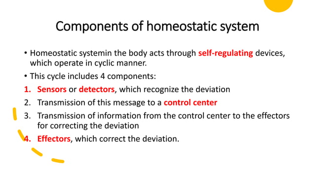 homeostasis.pptx