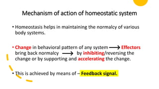 homeostasis.pptx