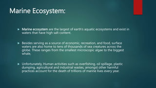 Presentation (1) (3).pptx