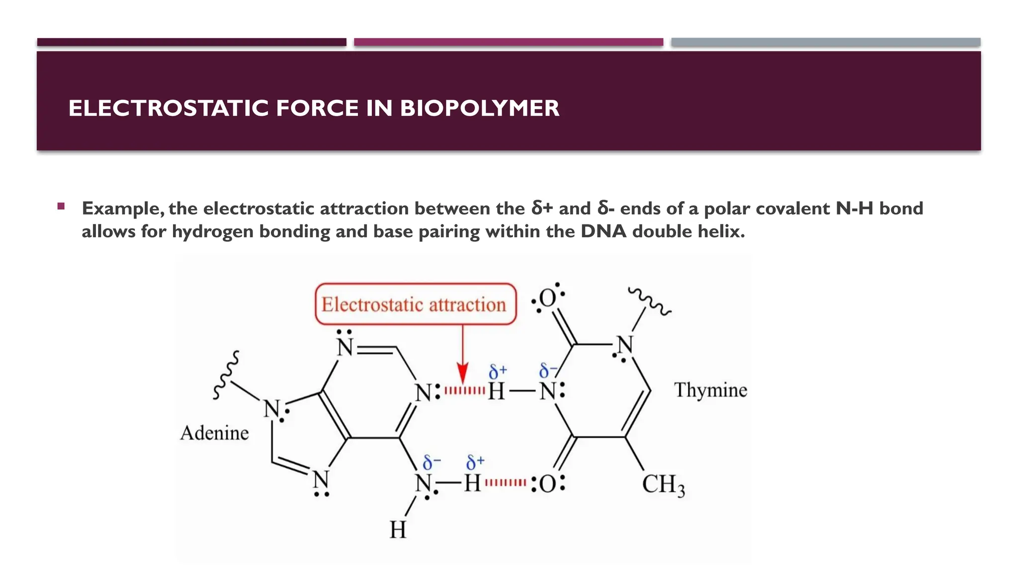 Forces involved in biopolymer interaction | PPTX