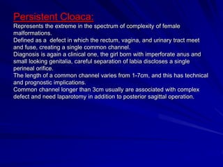 Presentation1 3 (4).ppt