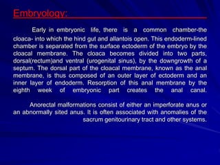 Presentation1 3 (4).ppt