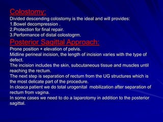 Presentation1 3 (4).ppt