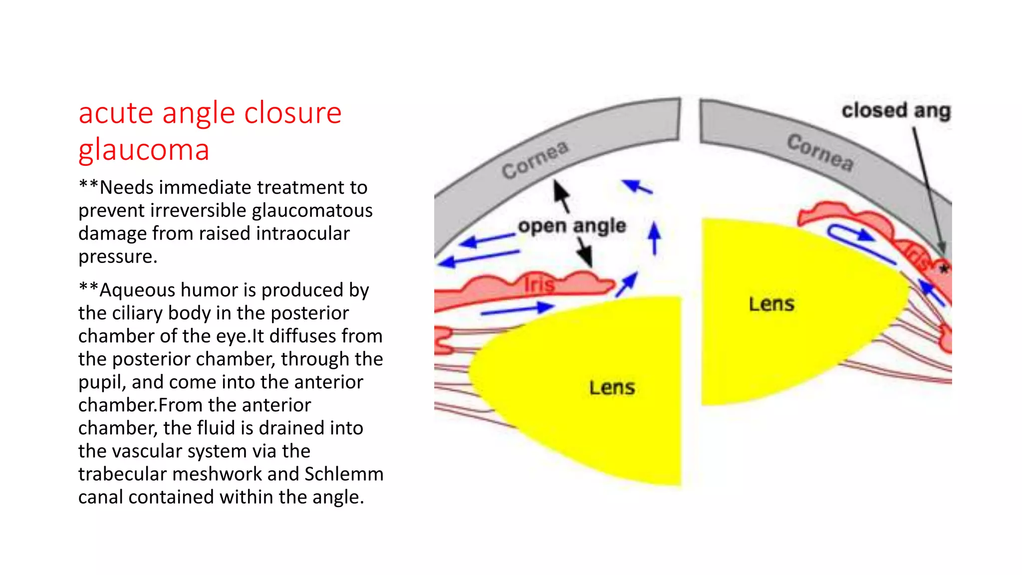 APPROACH TO RED EYE -DIAGNOSIS AND TREATMENT | PPTX