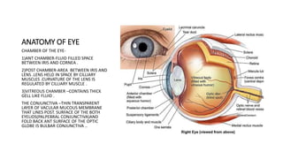 APPROACH TO RED EYE -DIAGNOSIS AND TREATMENT | PPTX