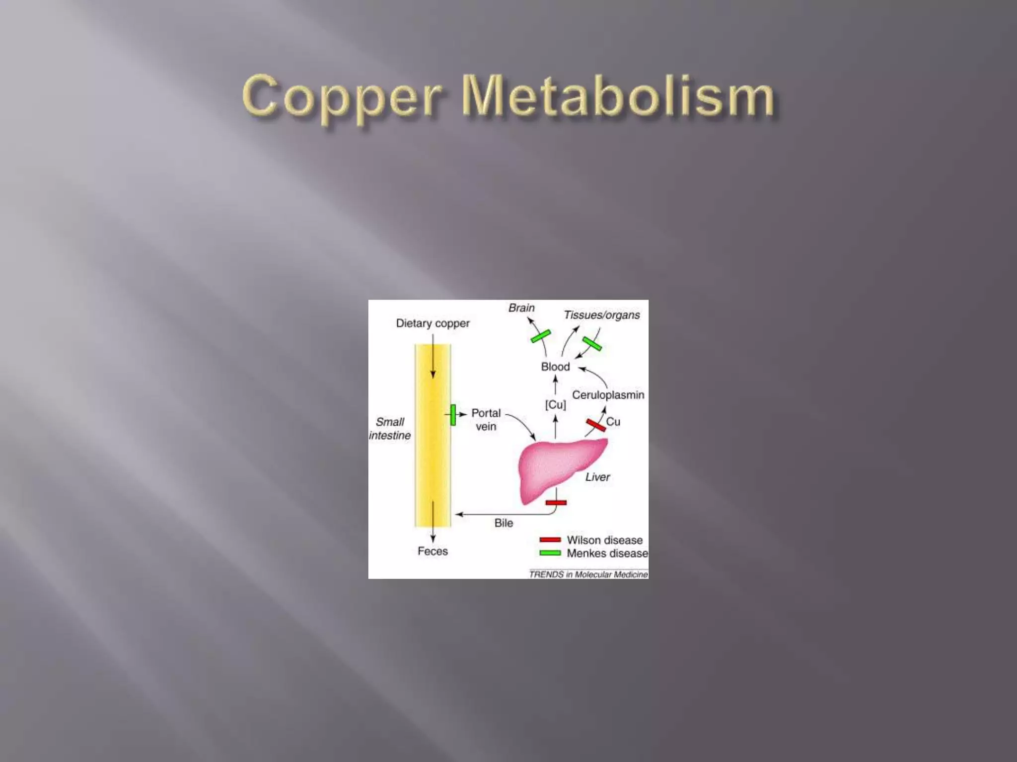 bioinorganic chemistry of copper | PPTX