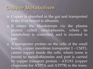 bioinorganic chemistry of copper | PPTX