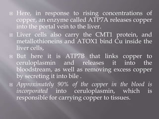 bioinorganic chemistry of copper | PPTX