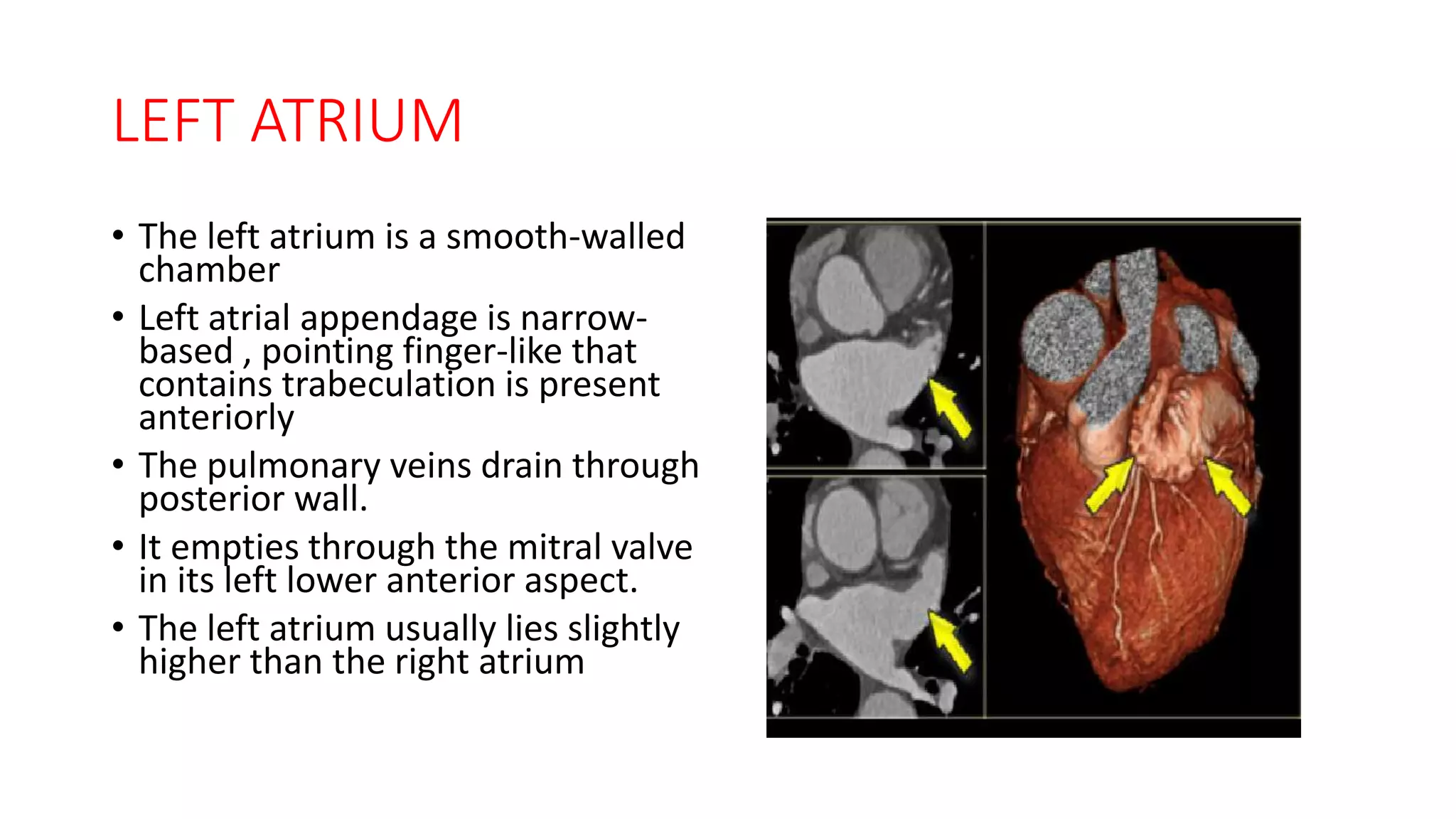 Cardiac anatomy and imaging techniques | PPTX