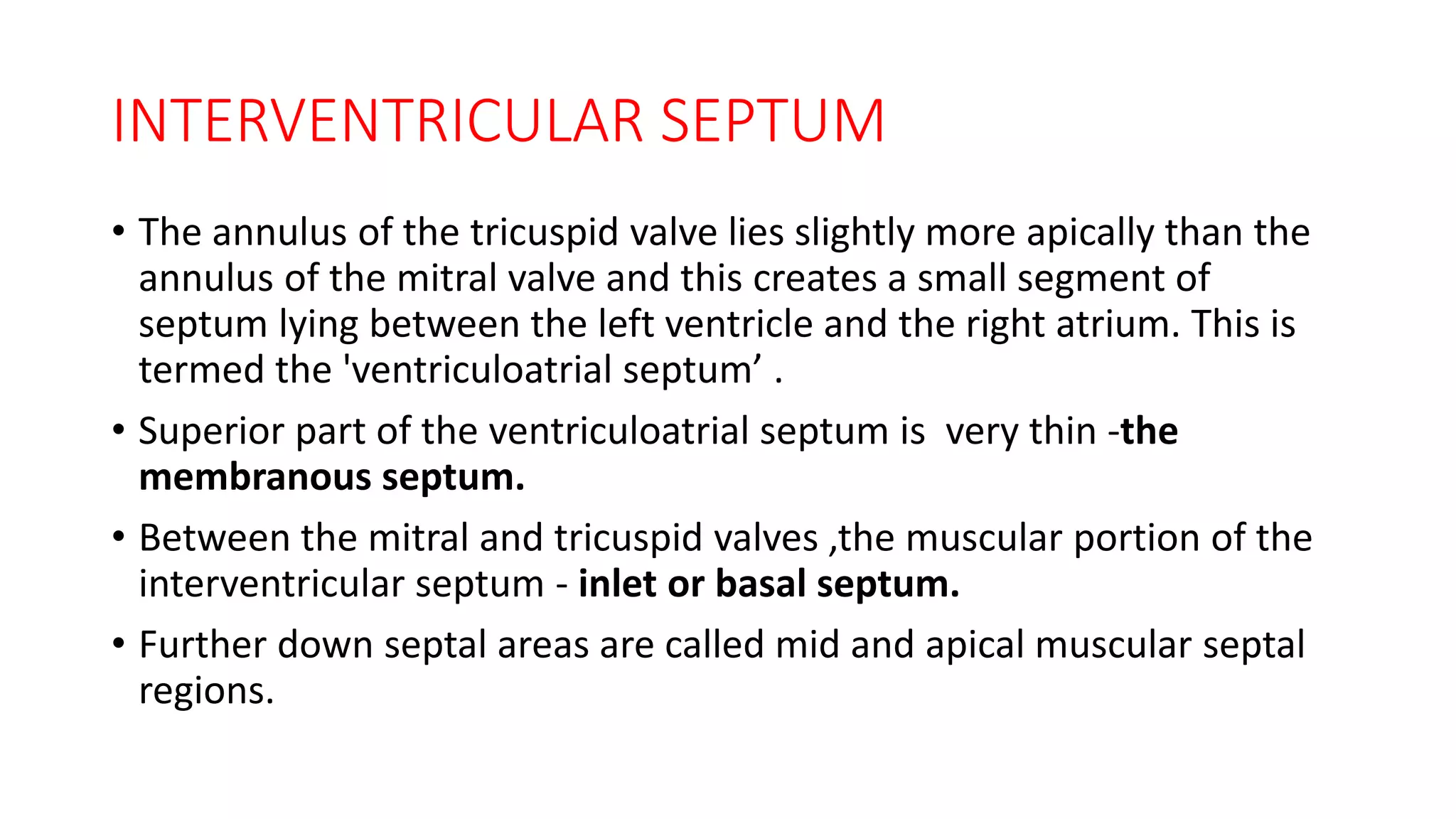 Cardiac anatomy and imaging techniques | PPTX