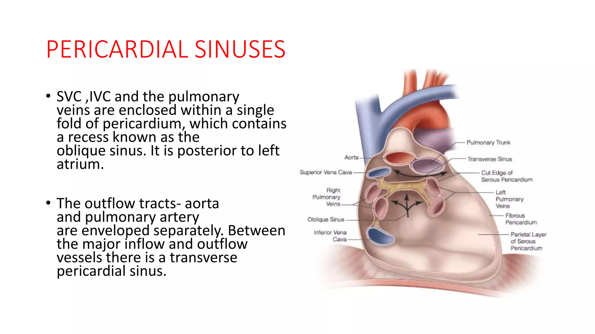 Cardiac anatomy and imaging techniques | PPTX