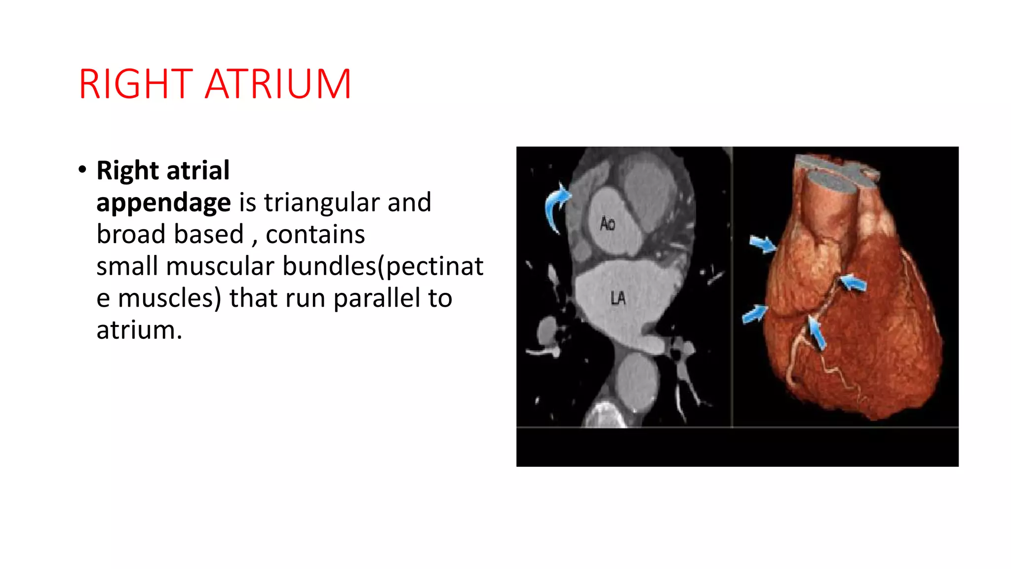 Cardiac anatomy and imaging techniques | PPTX
