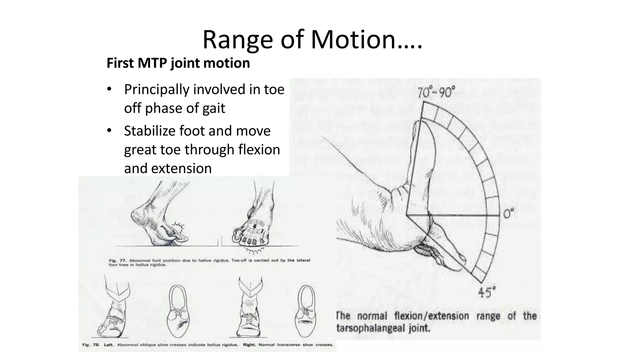 Presentation14.pptx