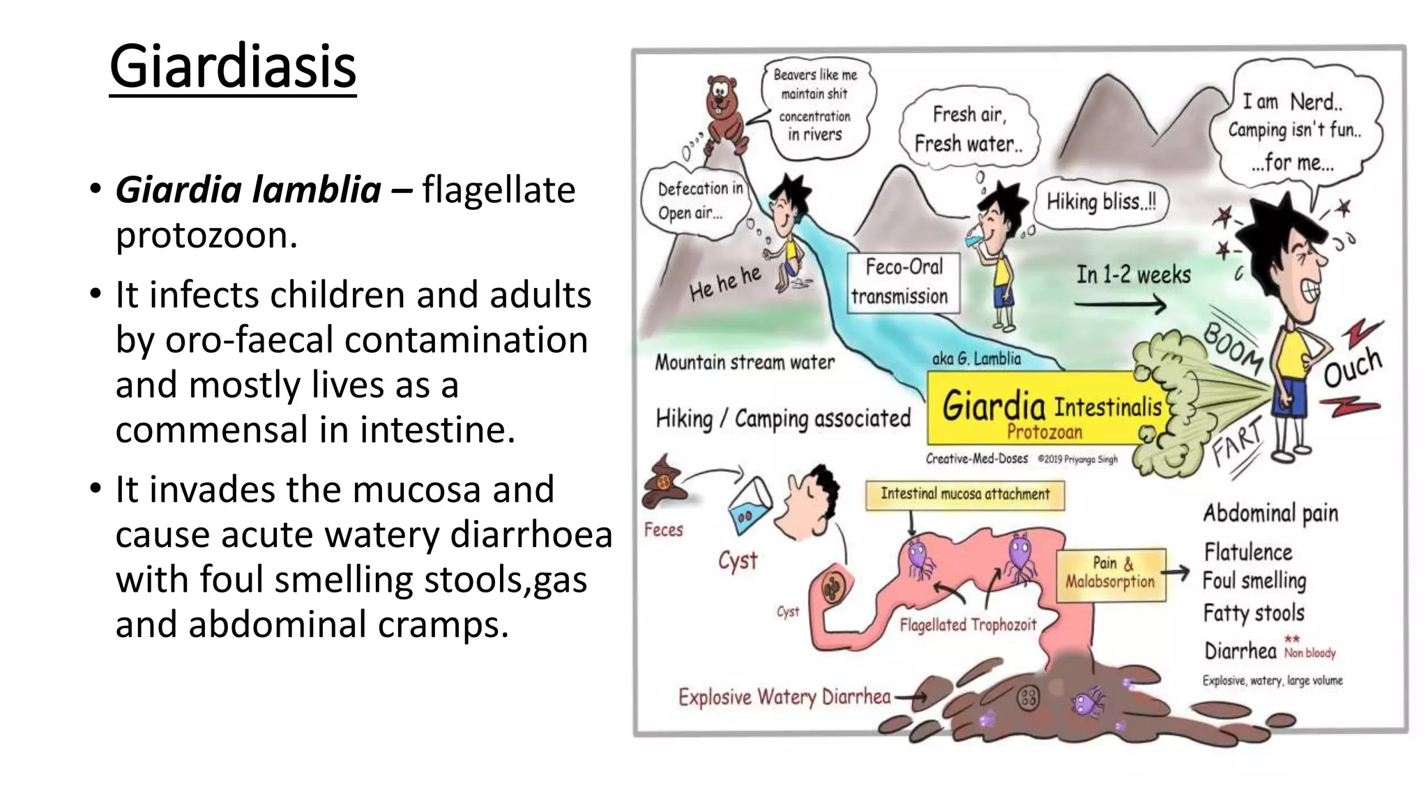 DRUGS USED IN PROTOZOAL INFECTION.pptx