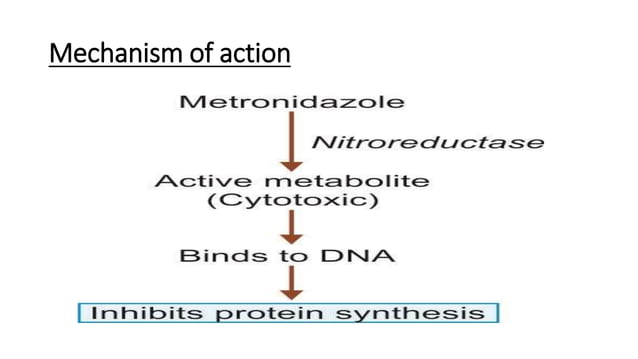 DRUGS USED IN PROTOZOAL INFECTION.pptx | Infectious Diseases | Diseases ...
