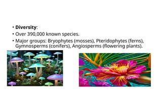 Presentation (14).pptx plant basic introduction | PPTX