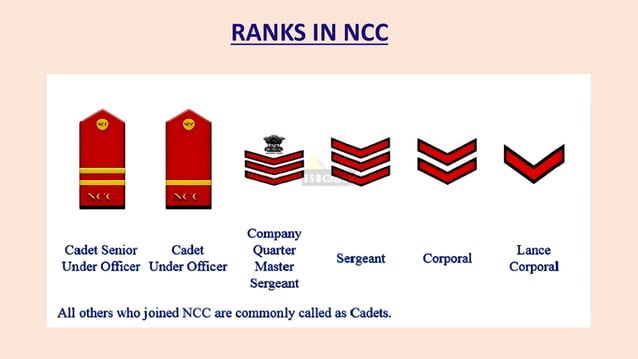 This presentation is all about making people aware about the NCC | PPT