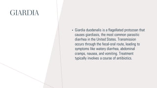 Presentation food borne pathogens and infections | PDF | Digestive ...