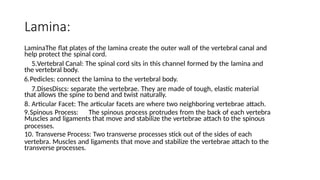 Presentation Of Clinical Radiography positioning.pptx