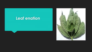 Prevention and control of plant disease | PDF