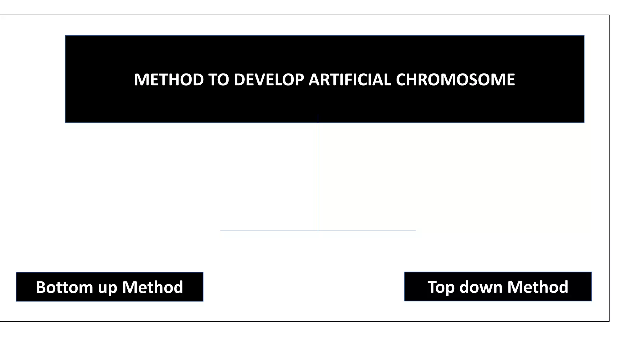 Artificial Chromosome construction and it's uses | PPTX