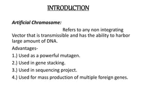 Artificial Chromosome construction and it's uses | PPTX
