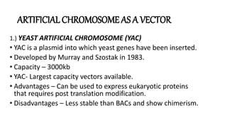 Artificial Chromosome construction and it's uses | PPT