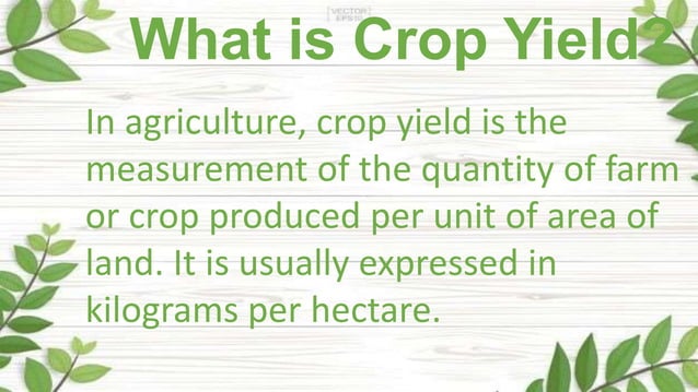 improvement in crop yield | PPTX | Agriculture | Industries