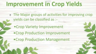 improvement in crop yield | PPTX