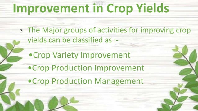 improvement in crop yield | PPTX | Agriculture | Industries