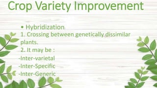 improvement in crop yield | PPTX