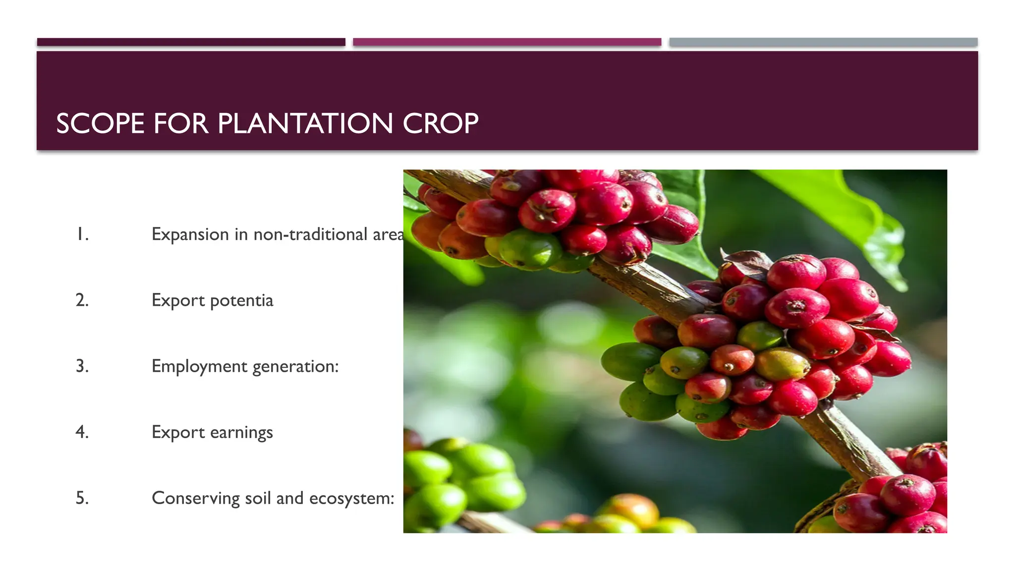 Scope and importance of fruits and plantation crops | PPTX