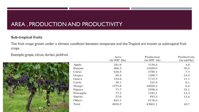Scope and importance of fruits and plantation crops | PPTX | Agriculture | Industries