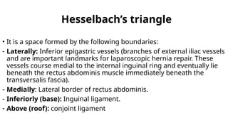 inguinal hernia and surgical managment .pptx