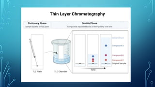 Thin layer chromatography - bio instrumentation | PPT