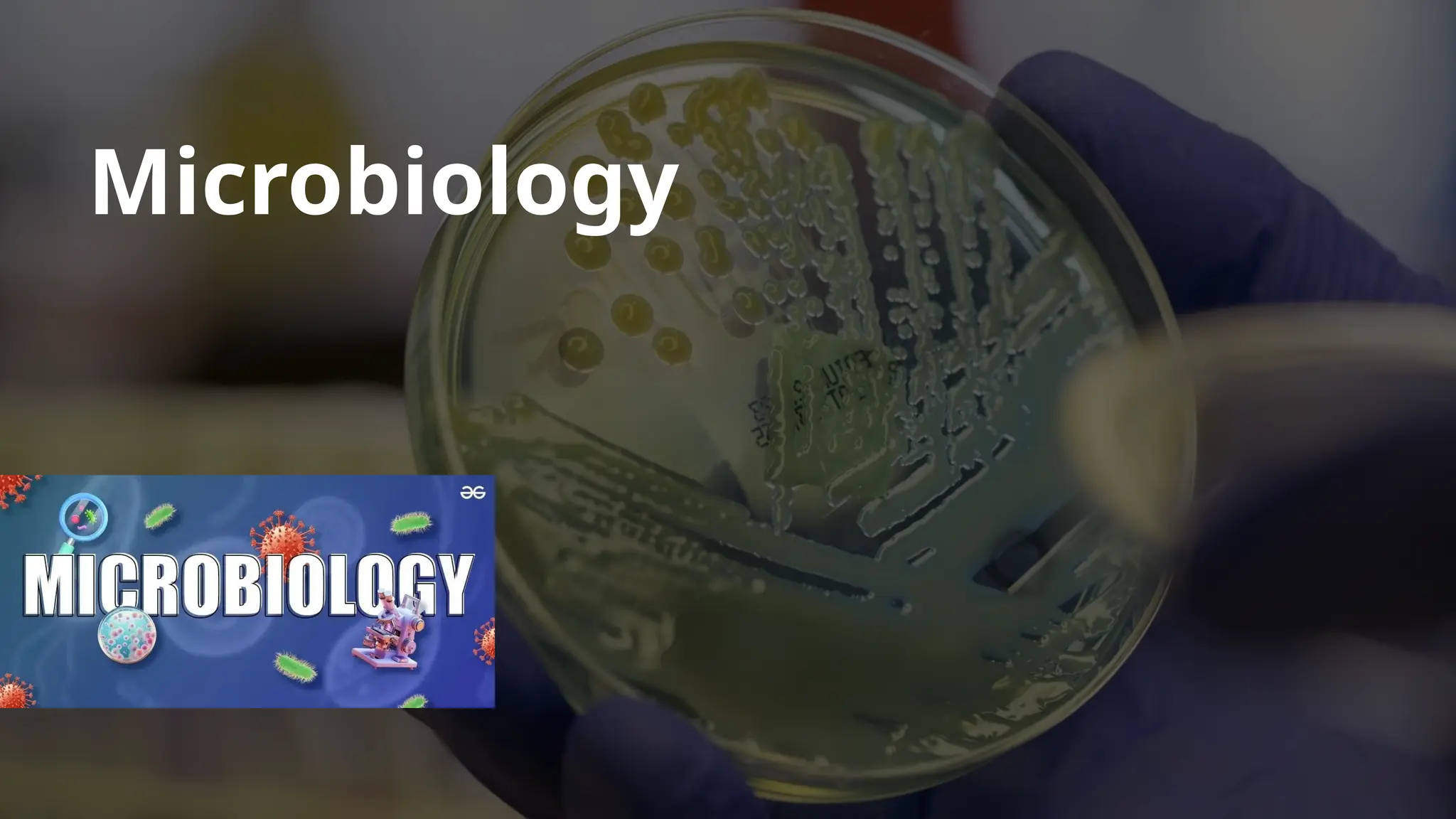 Microbiology lapparatus used in microbiology lab 🧪 | PPTX