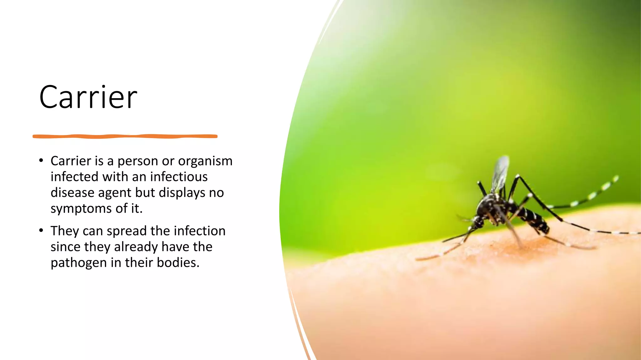 Micro-Organisms: Friend Or Foe Class 8 | PPT