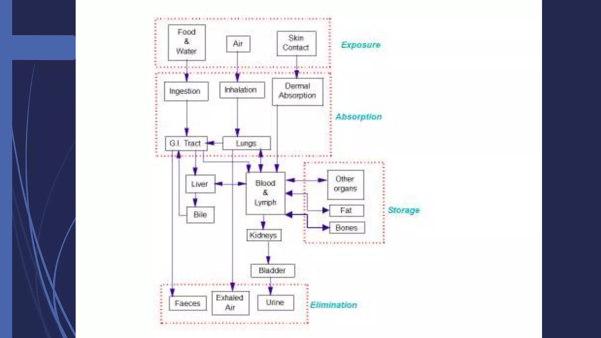 Presentation16 مهم.pptx