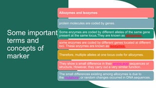 MARKER ASSISTED BREEDING (MARKERS) | PPT