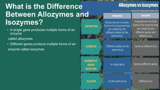 MARKER ASSISTED BREEDING (MARKERS) | PPT