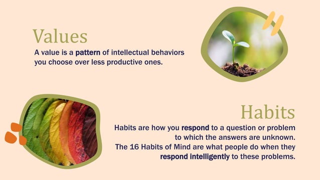 Presentation_16 Habits of Mind Wk 3 and 4.pptx