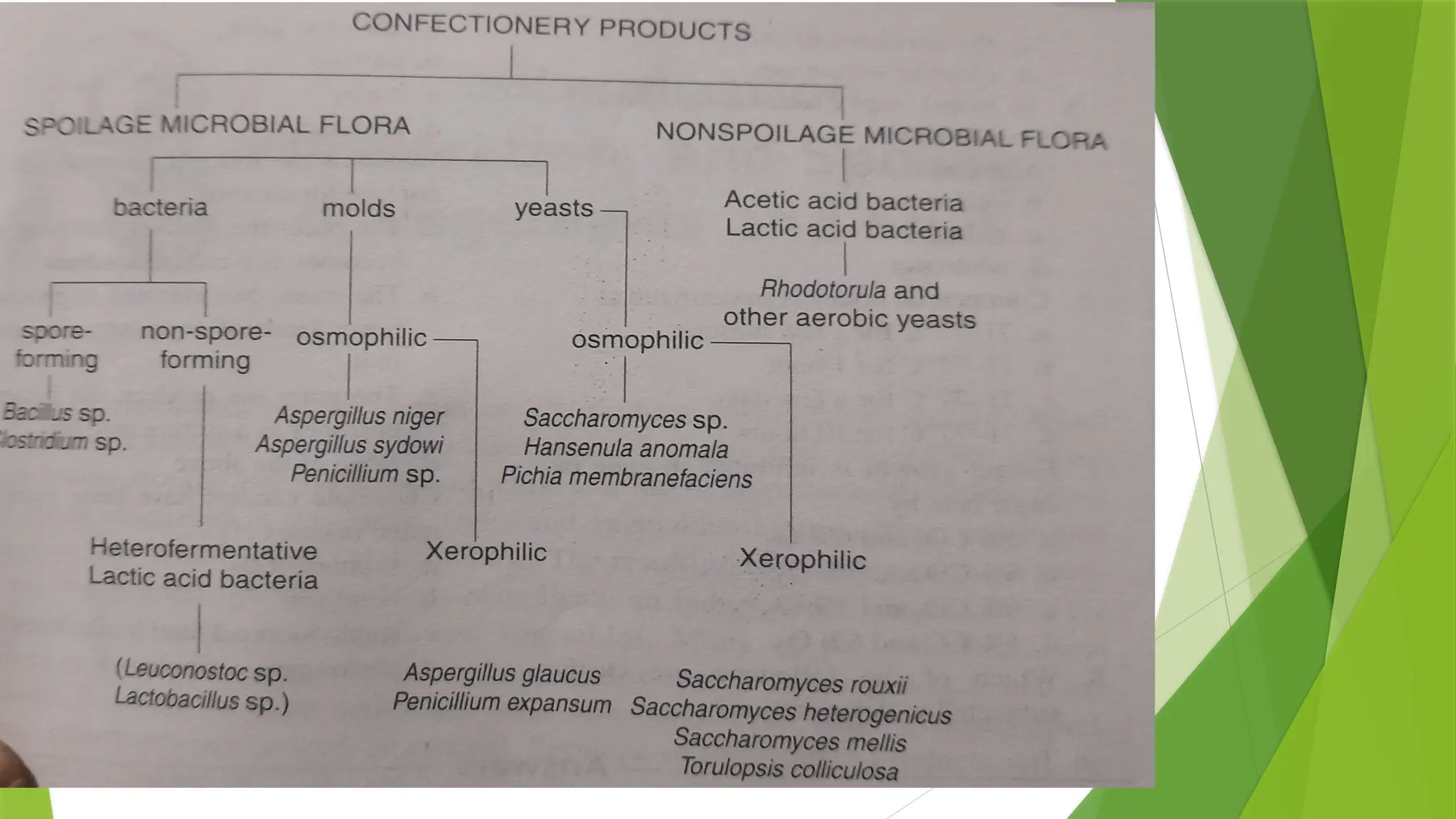 Sugars and Sugar product-Food microbiology | PPTX