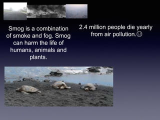 Smog by Max | PPTX | Indoor Environmental Quality | Home & Garden