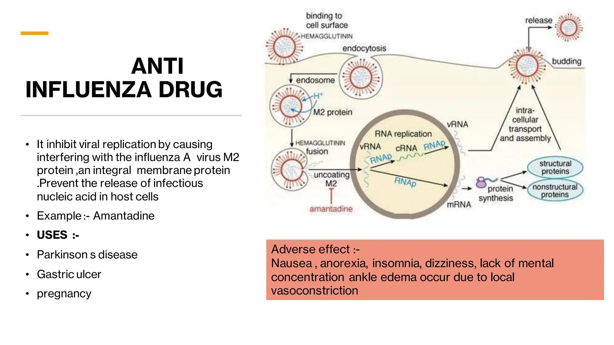 Anti viral drug pharmacology classification | PDF