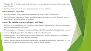 Medical bacteriology normal flora of the human body | PPTX
