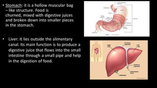 Presentation 17 (2).pdf
